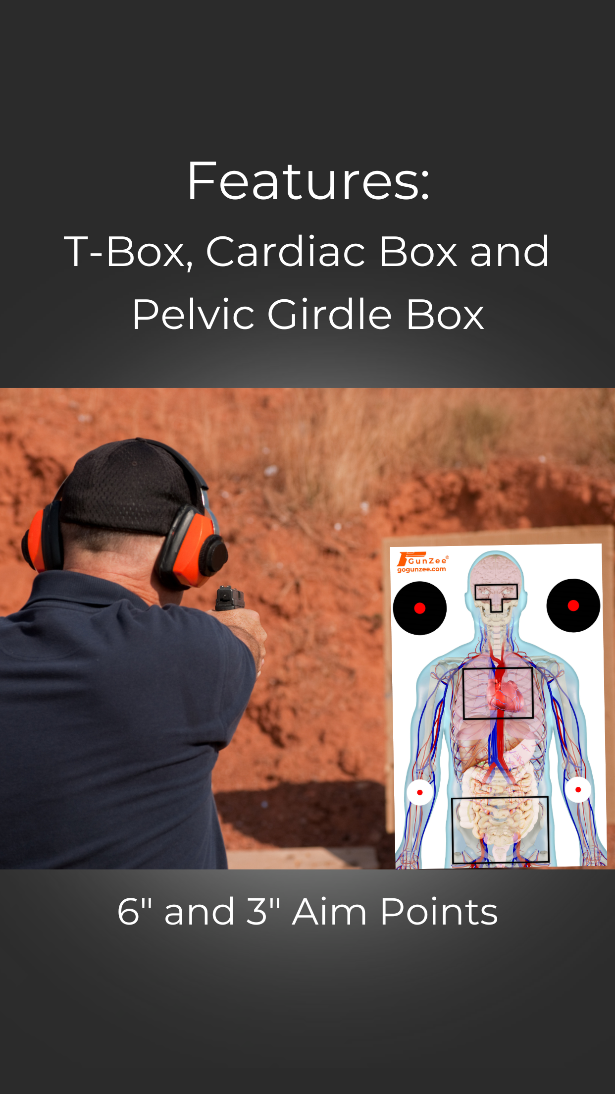 Anatomical Shooting Targets – GunZee Store