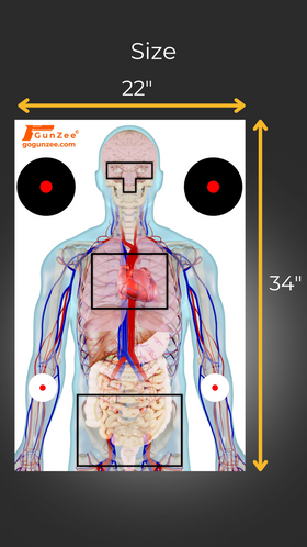 Anatomical Shooting Targets – GunZee Store